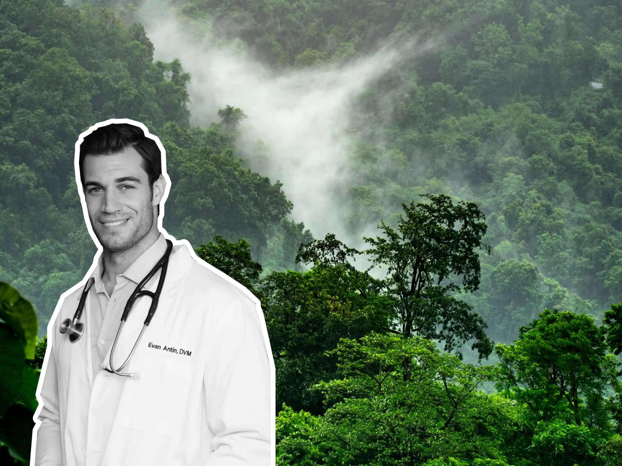 Dr. Evan Antin shares: how travels abroad impact his vet practice